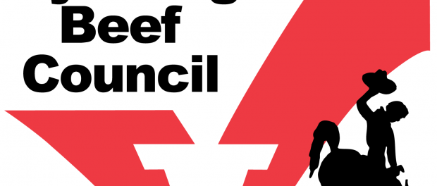 Beef Council Appoints Federation Directors | KFBC AM1240